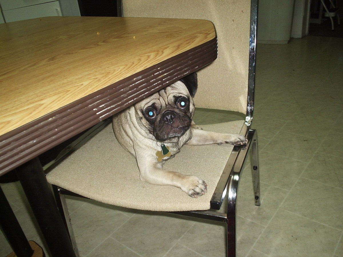 Anger- Why We Would Rather Blame Ourselves – Winning Over Shame